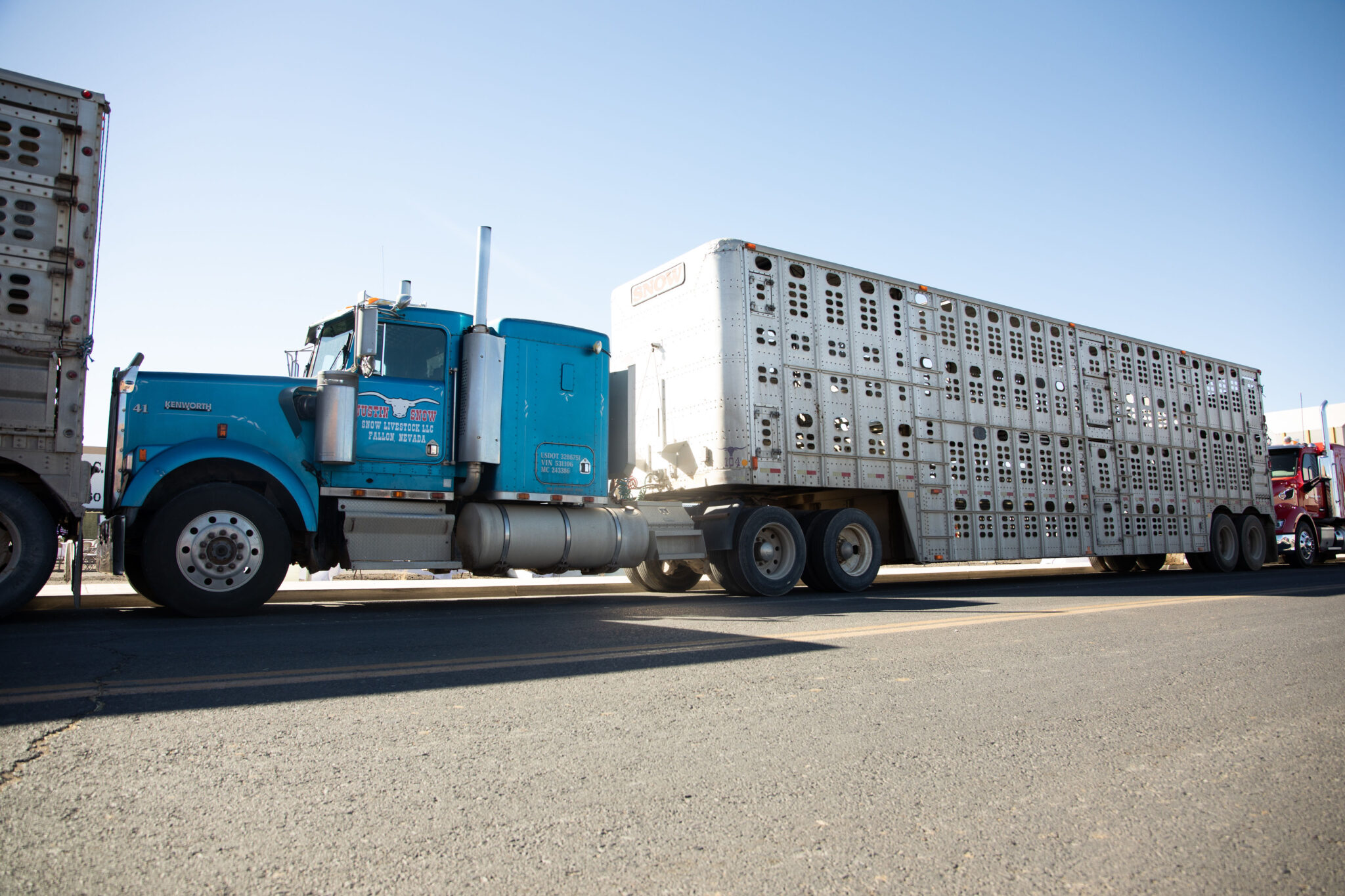 Anipro Livestock Supplement – AWordPressSite